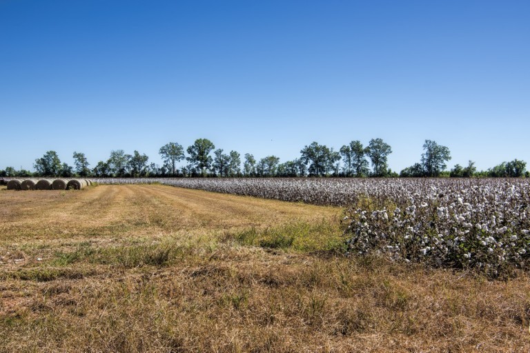 Esler Field Airport (ESF, KESF) Private Jet Charter | Aircraft Hire ...