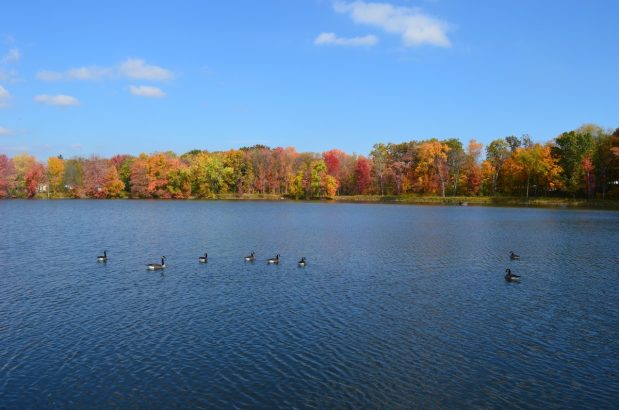 Stewart Airport (SWF, KSWF) Private Jet Charter | Aircraft Hire ...